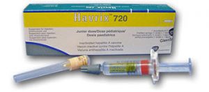 Hepatitis A vaccination - Vaccination.org.uk